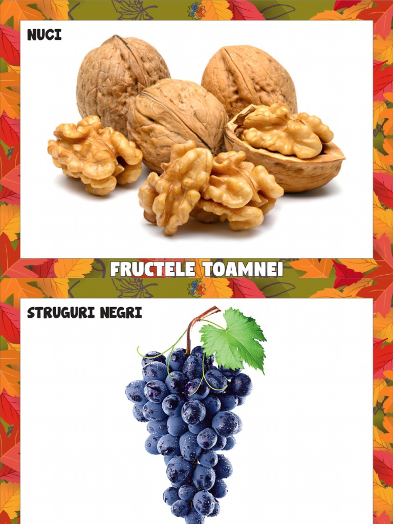 FRUCTELE TOAMNEI - PDF Versiunea 1 PDF | PDF