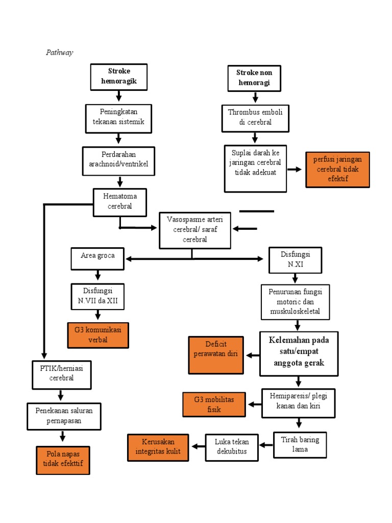 Pathway Stroke Hemoragik dan Non-Hemoragik | PDF