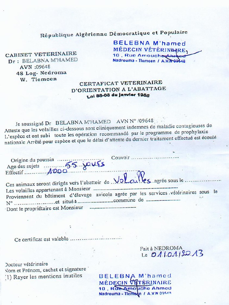 Certificat Veterinaire D'orientation | PDF