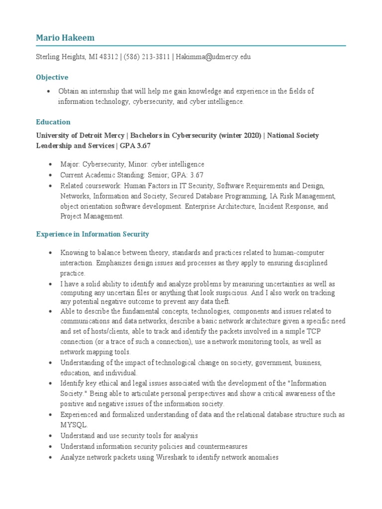 Mario Resume | Download Free PDF | Computer Security | Security