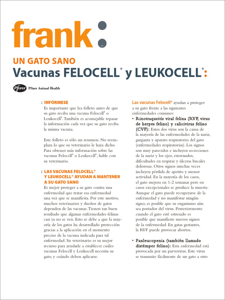 Felocell y Leukocell Gatos | PDF | Gatos | Virus