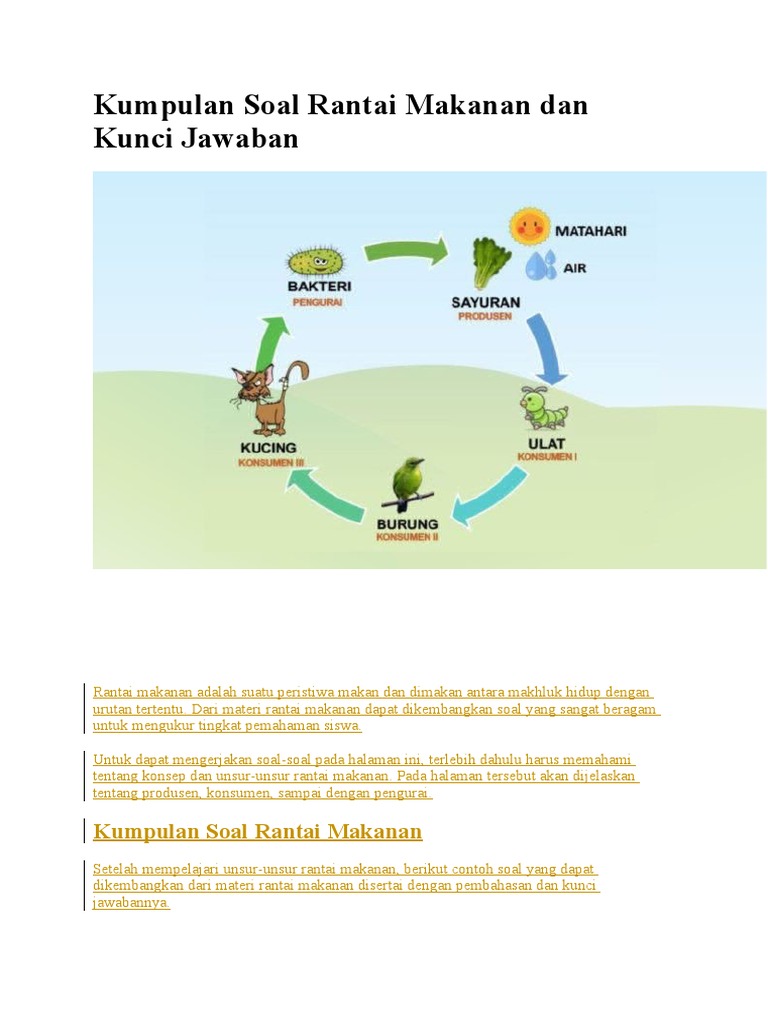 Kumpulan Soal Rantai Makanan Dan Kunci Jawaban | PDF