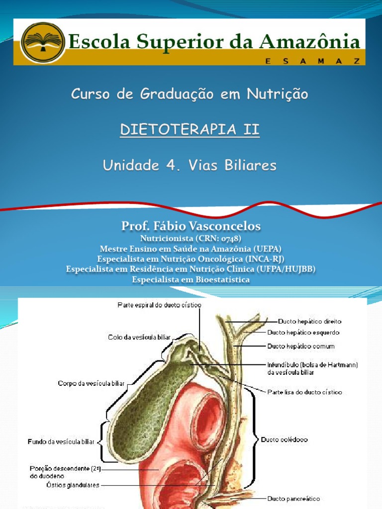 Vesícula Biliar En Bolsa De Hartmann