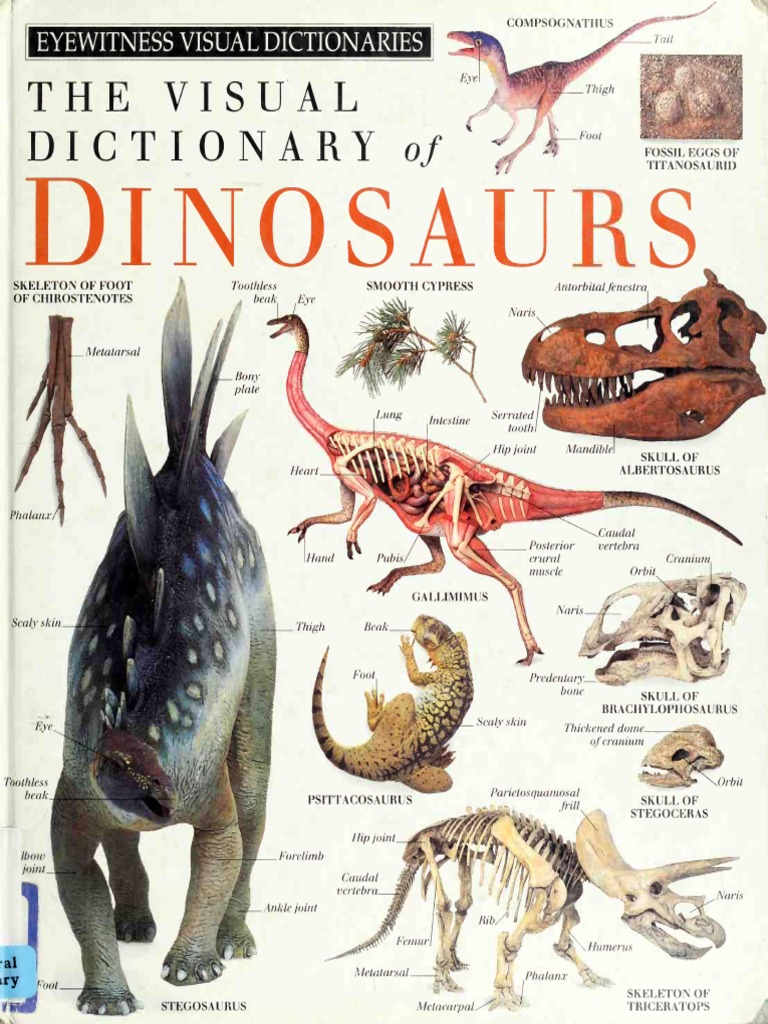 Lambert David The Visual Dictionary of Dinosaurs PDF | PDF | Dinosaurs ...