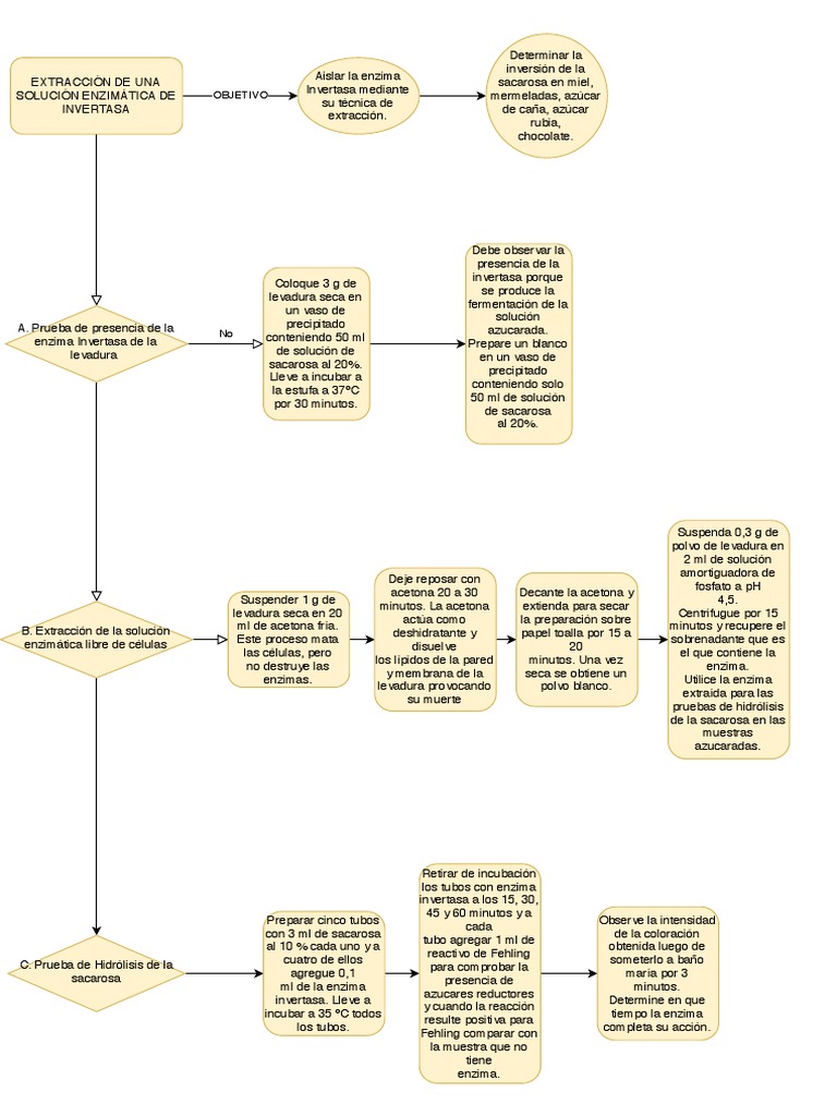 Extracción de Una Solución Enzimática de Invertasa | PDF | Enzima ...