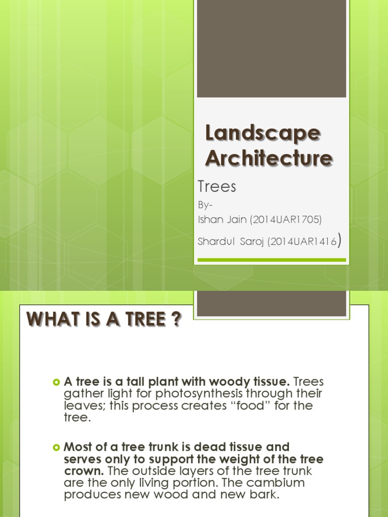 Trees PDF | PDF | Trees | Leaf