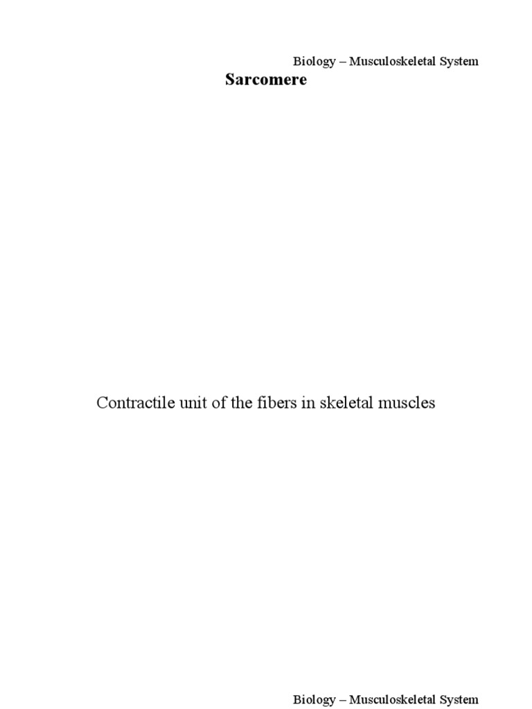 Musculoskeletal System Flashcards | PDF Musculoskeletal System Flashcards | PDF