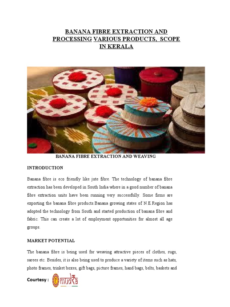 Banana Fibre Extraction and Processing Various Products | PDF | Fixed ...
