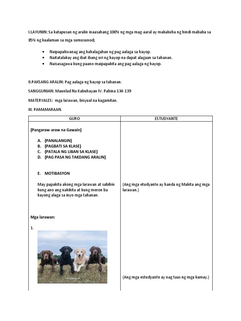 Lesson Plan Sa Epp | PDF