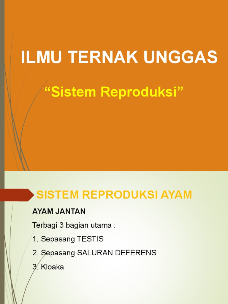 Sistem Reproduksi Ayam | PDF