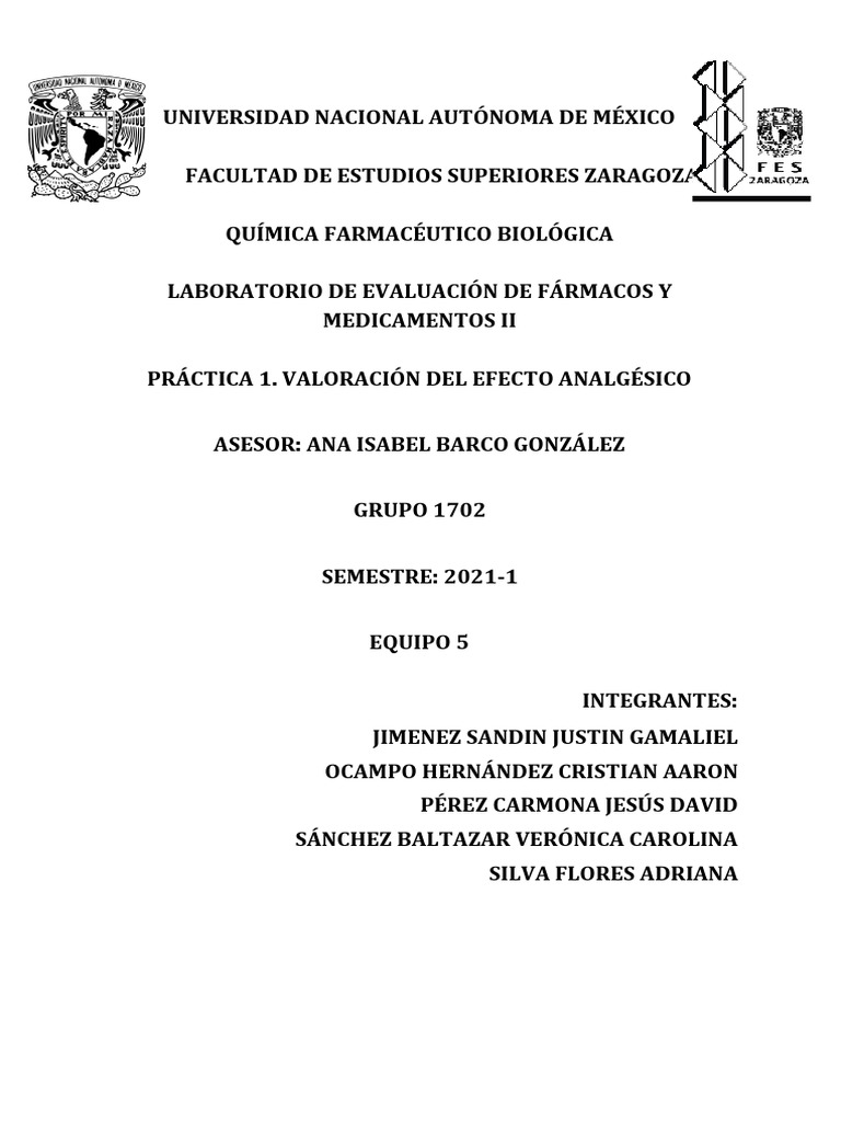 Efm 2 P1 Informe | PDF | Analgésico | Dolor