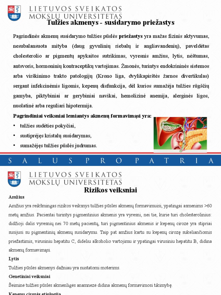 Akmenligė | PDF