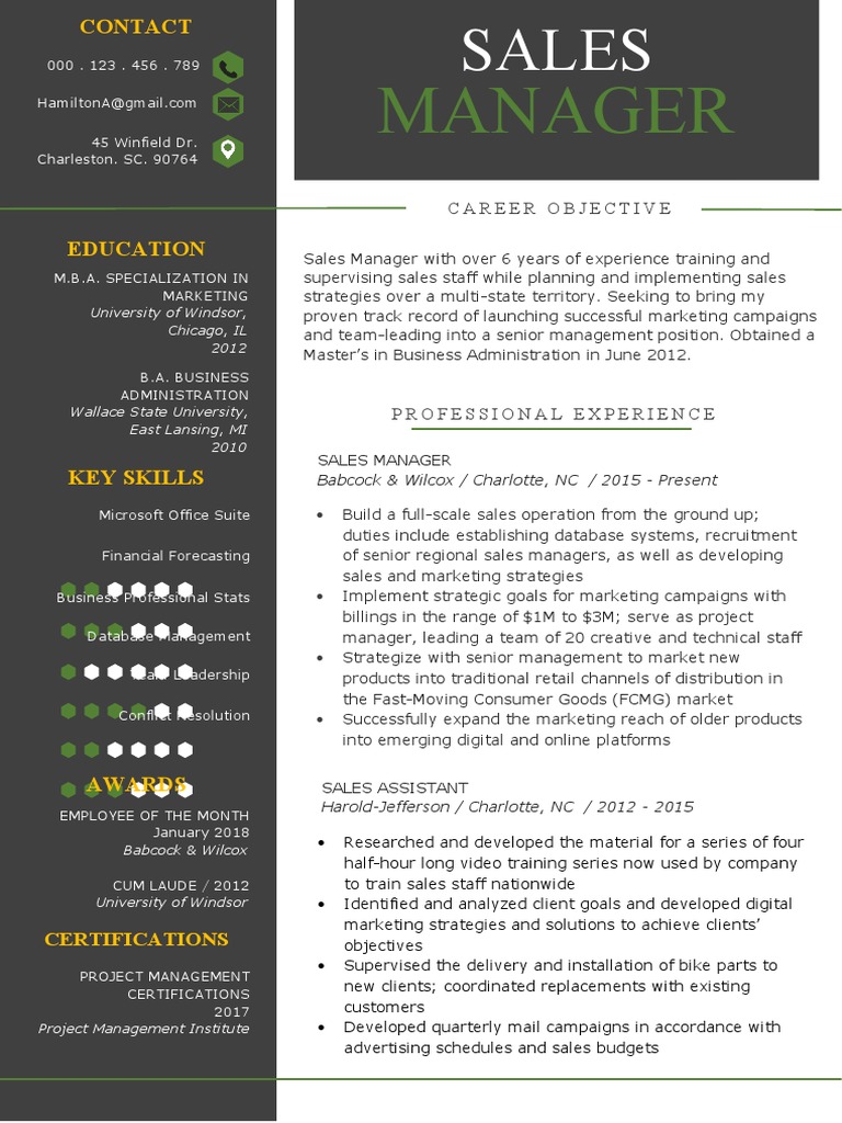 Sales Manager Sample - Everest Green | PDF | Sales | Marketing