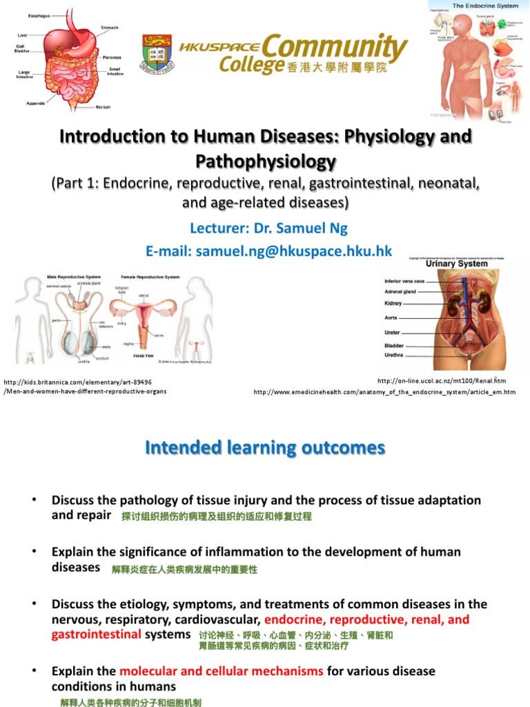 PP Chapter 1 | PDF | Hyperthyroidism | Endocrine System