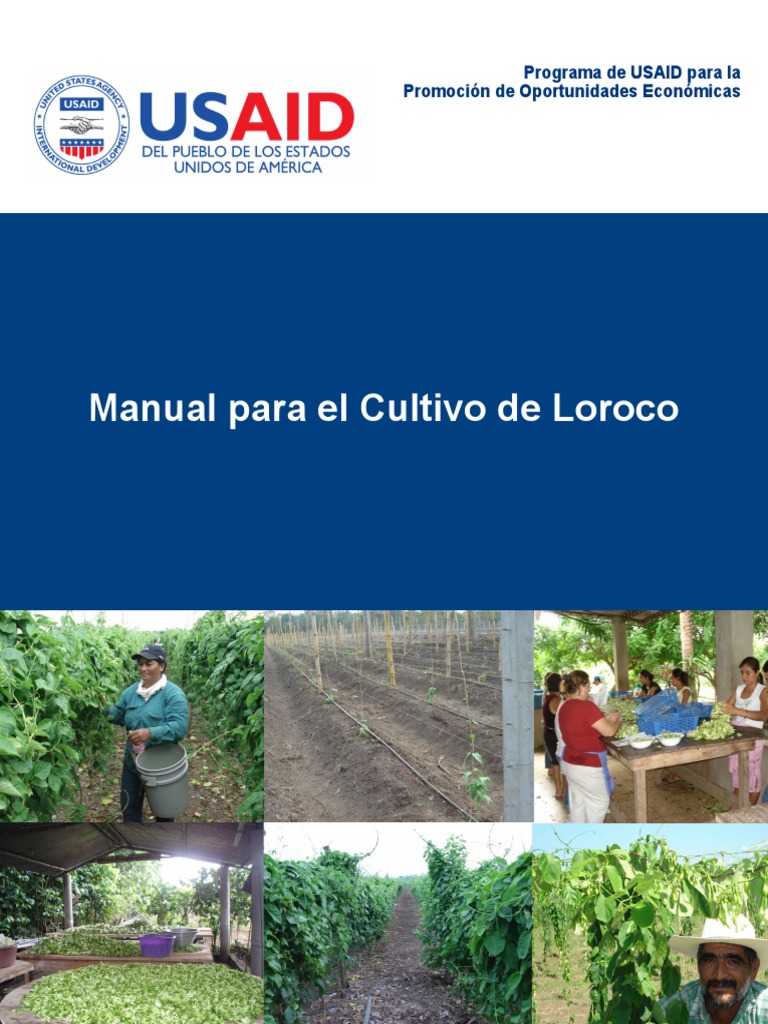 Manual Loroco | PDF | Riego | Pesticida
