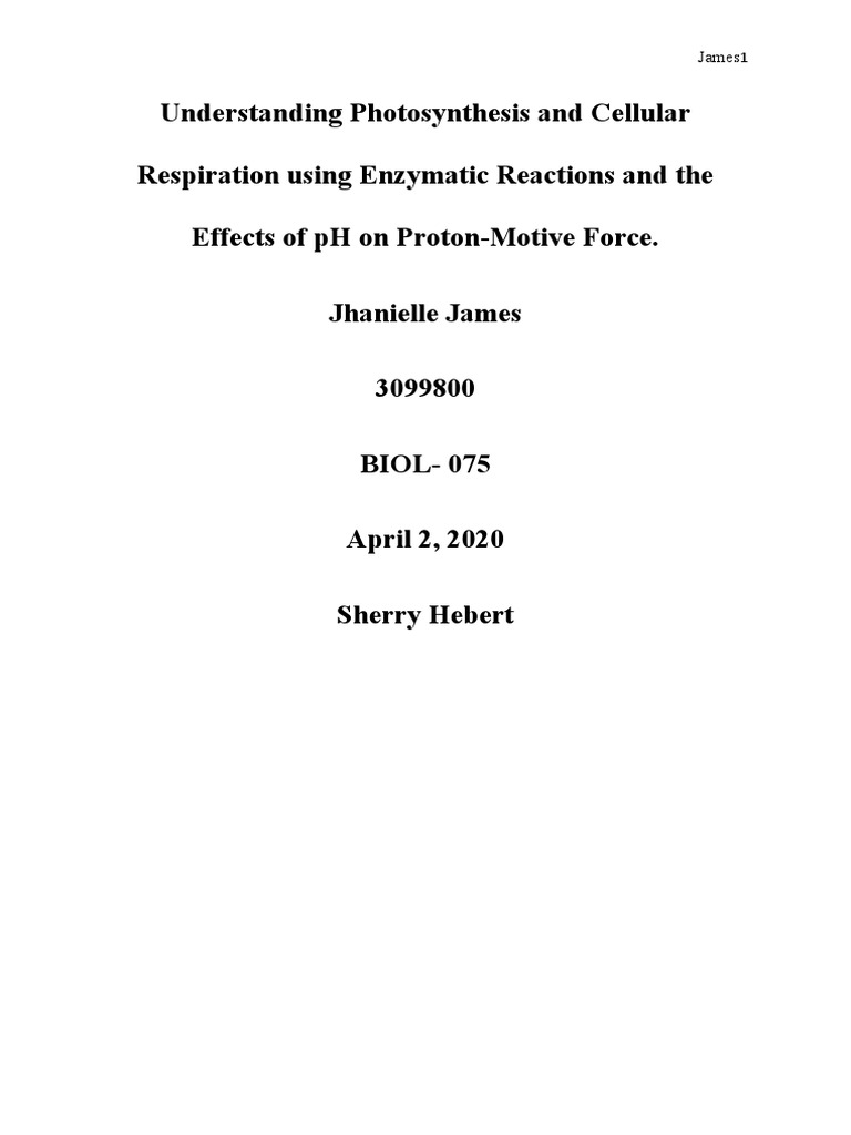 Cell Bio Lab Report | PDF | Photosynthesis | Cellular Respiration