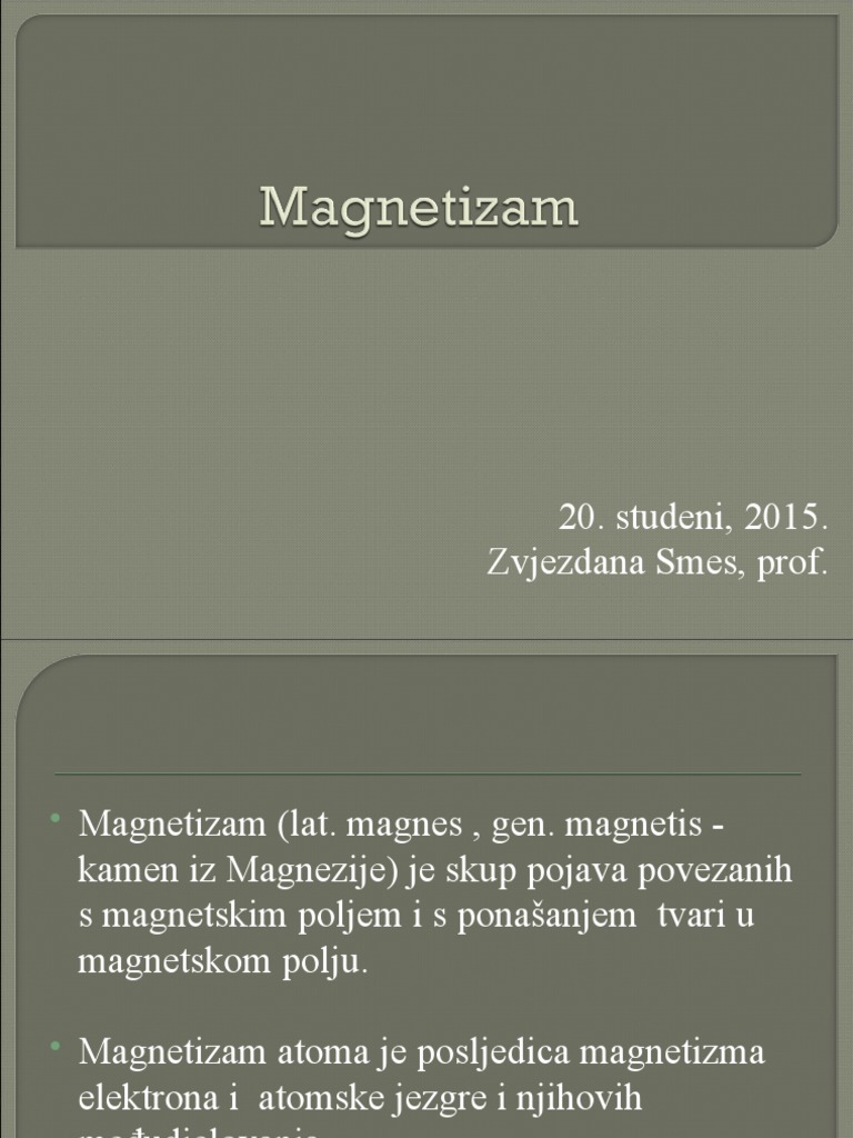 Magnetizam