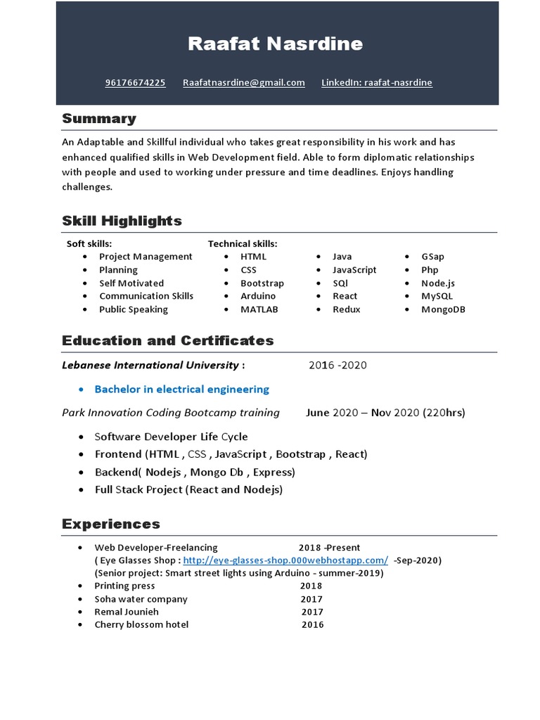 Raafat Nasrdine CV PDF | PDF