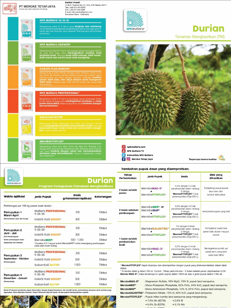 Brosur Program Pemupukan Durian TM | PDF