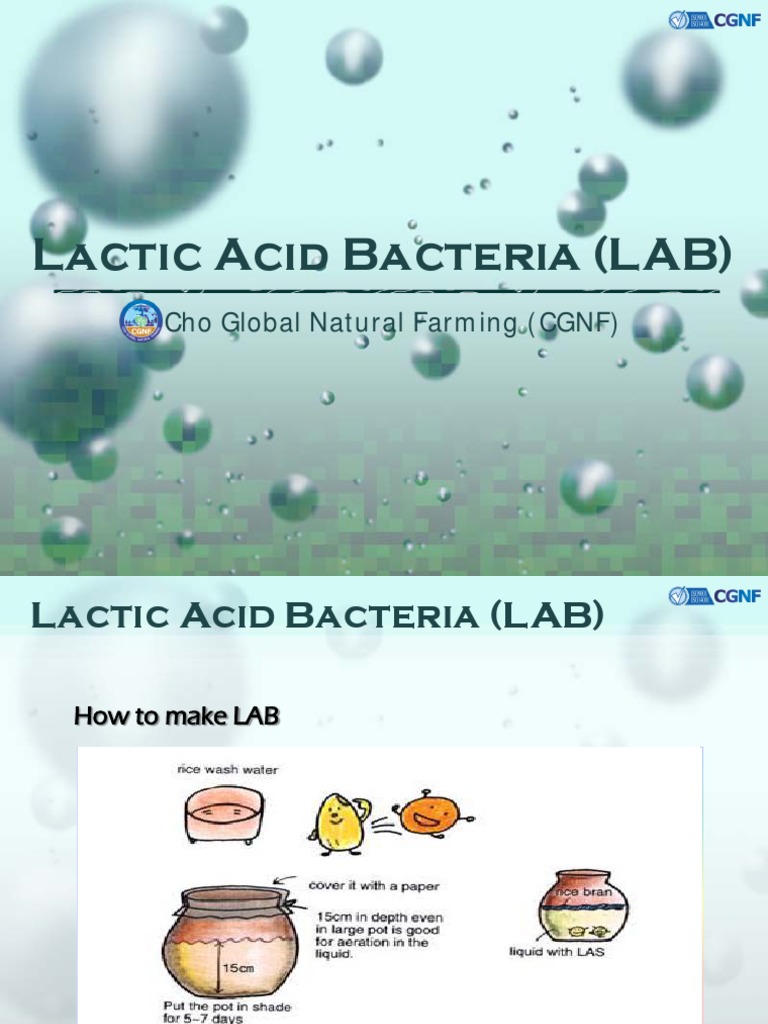 Guide to Making and Using LAB in CGNF | PDF | Wellness | Science ...