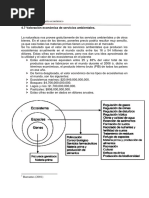 2.7 Bosquejo Del Metodo | PDF | Deforestación | Método científico