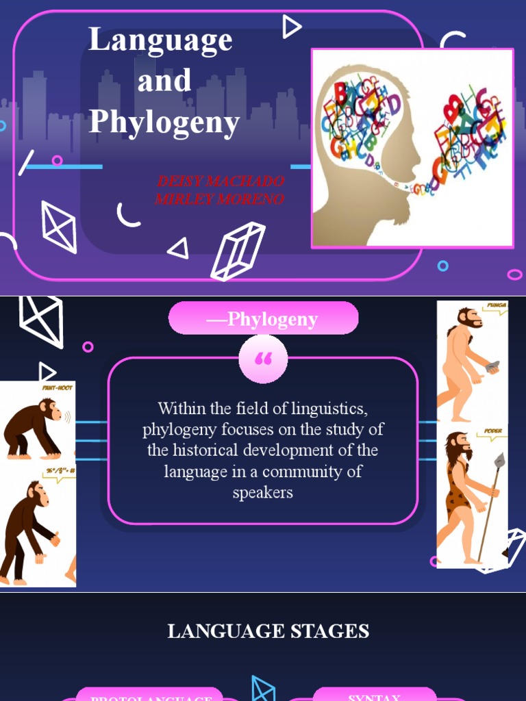 Language Phylogeny and Development | PDF | Language Arts & Discipline
