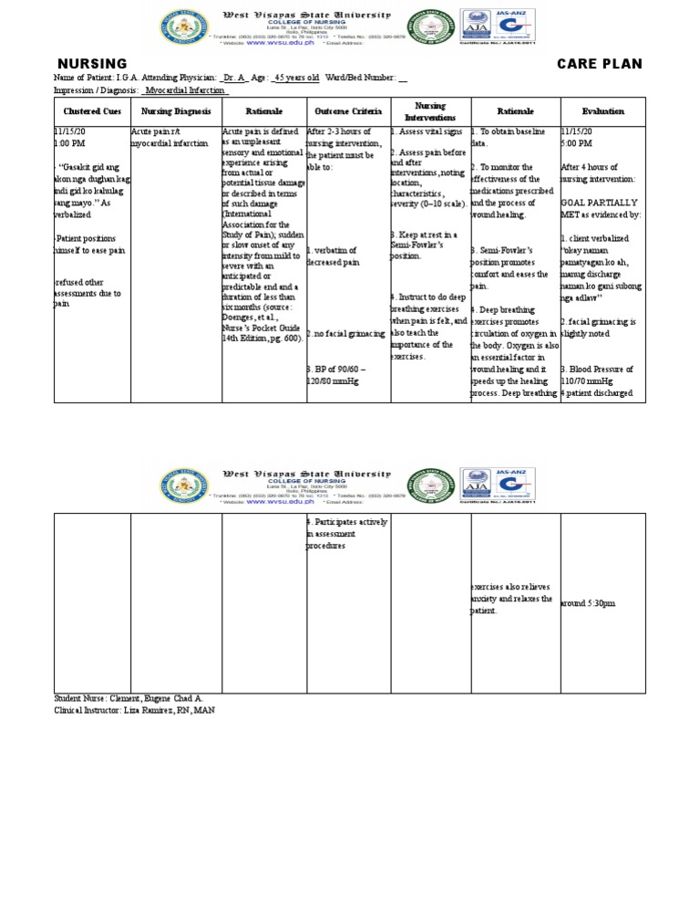 Nursing Care Plan: Clustered Cues Nursing Diagnosis Rationale Outcome ...