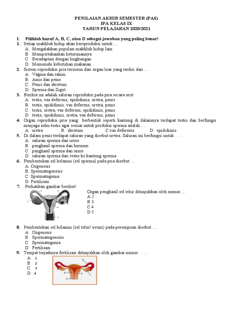 Pas KLS 9 2020-2021 | PDF