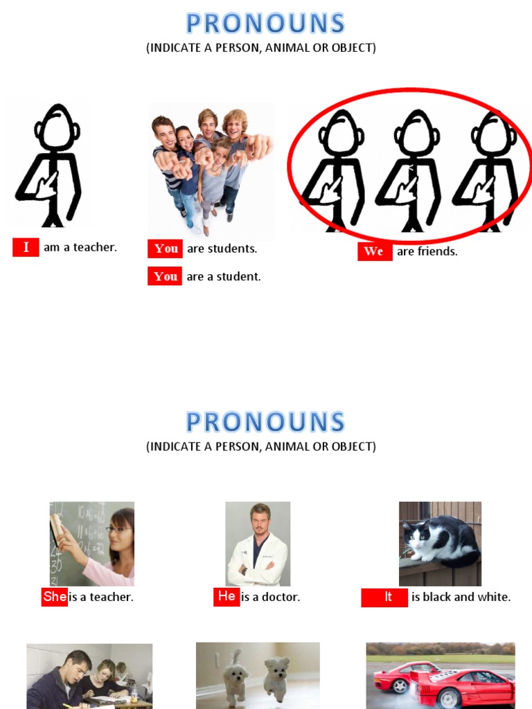 (Indicate A Person, Animal or Object) : You We You | PDF