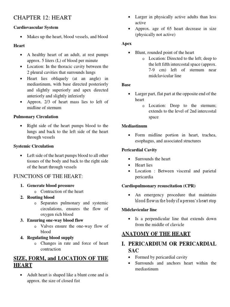 Chapter 12: Heart: Functions of The Heart | PDF | Heart Valve | Heart