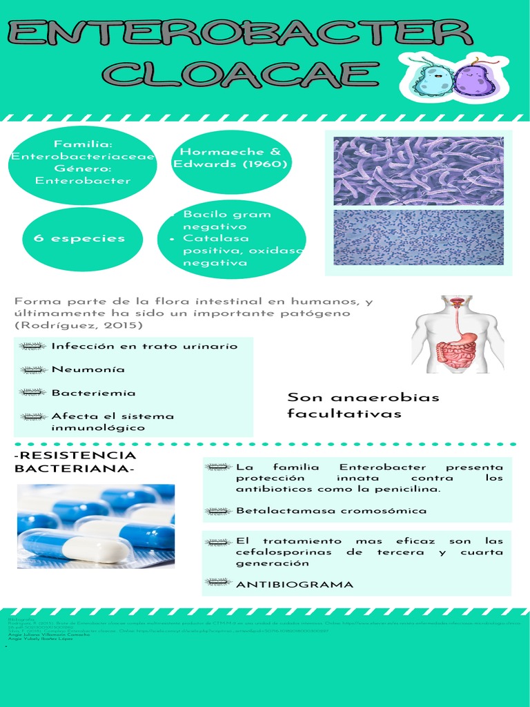 Enterobacter Cloacae | PDF | Antibióticos | Inmunología
