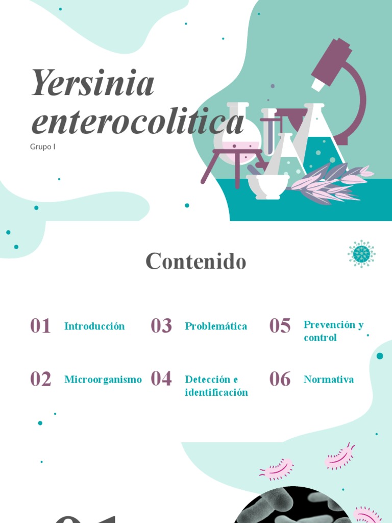 Yersinia enterocolitica: Detección y Control | PDF | Carne | Microbiología