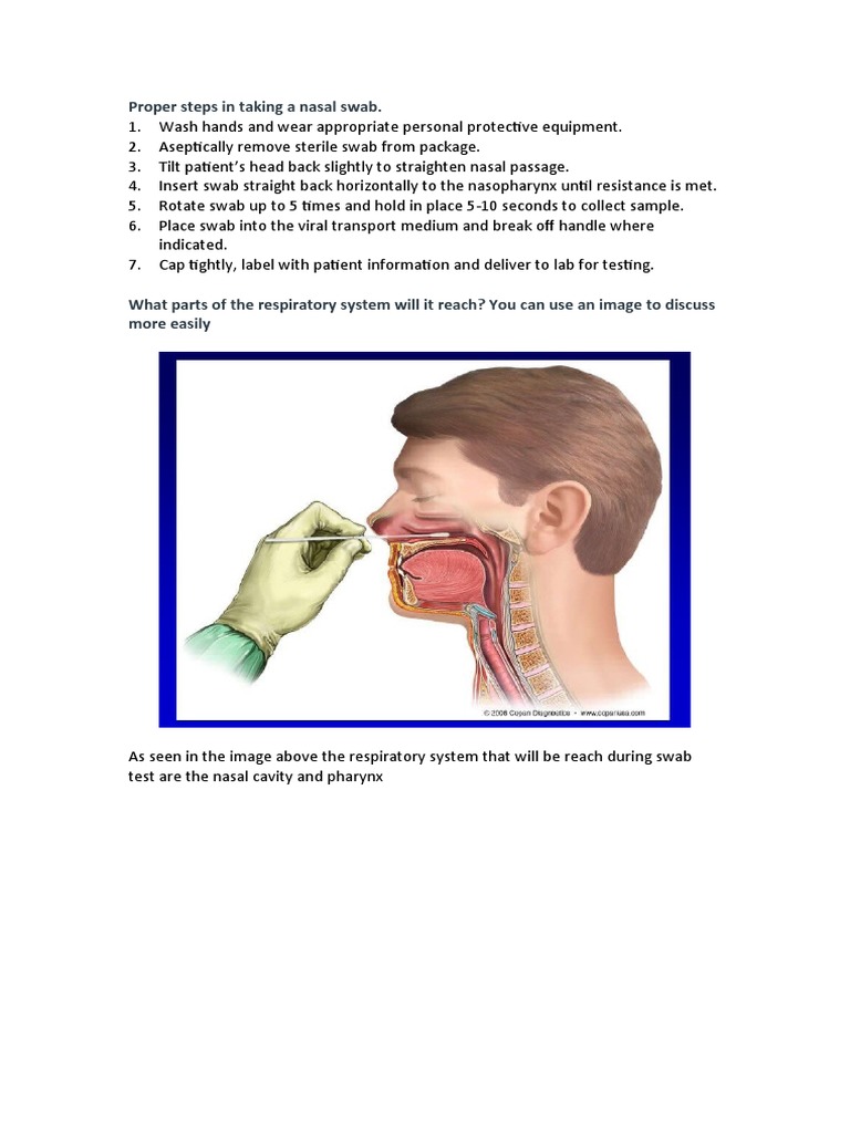 Proper Steps in Taking A Nasal Swab | PDF