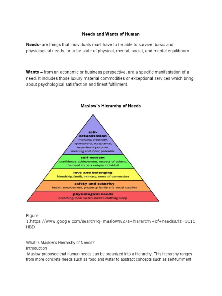 Understanding Human Needs and Wants | PDF | Self Esteem | Demand