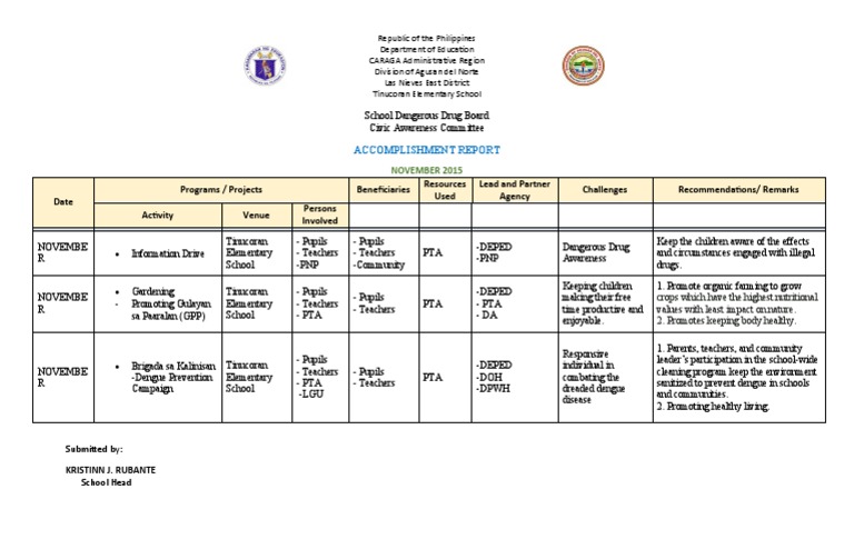 NDEP Accomplishment Report | PDF
