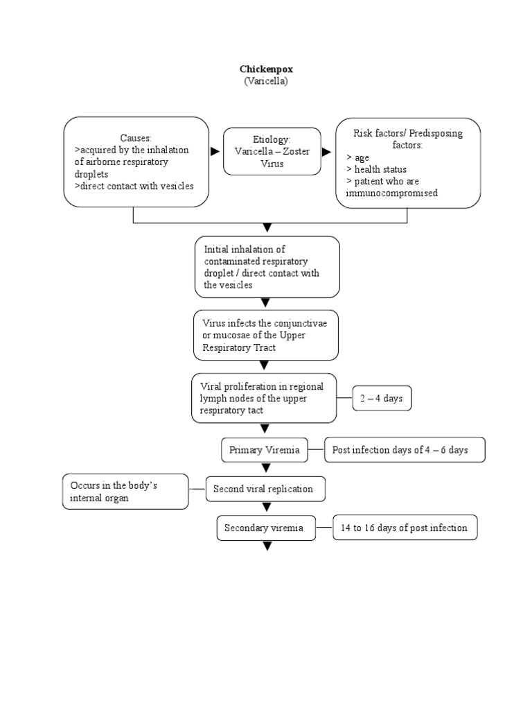 Pathophysiology of Chickenpox Explained | PDF