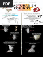 Anatomía del Equino: Estructuras y Regiones | PDF | Codo | Sistema ...