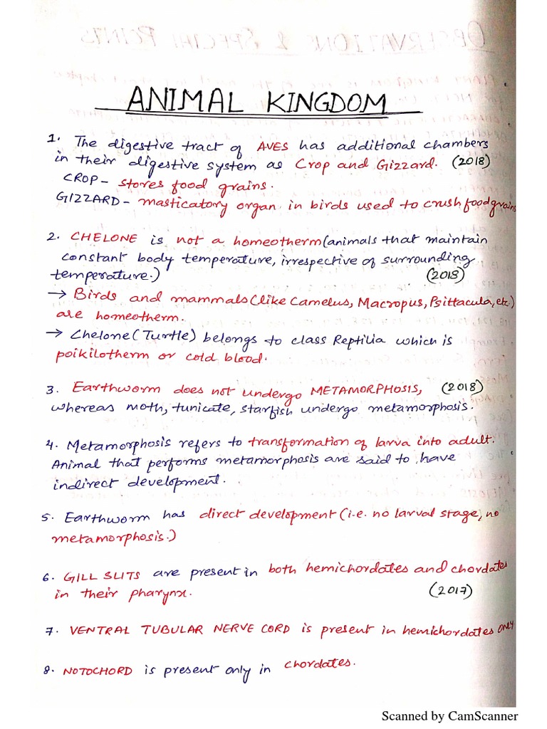 Animal Kingdom | PDF