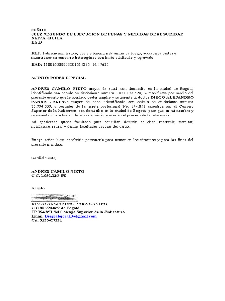 Poder Especial en Proceso Judicial | PDF