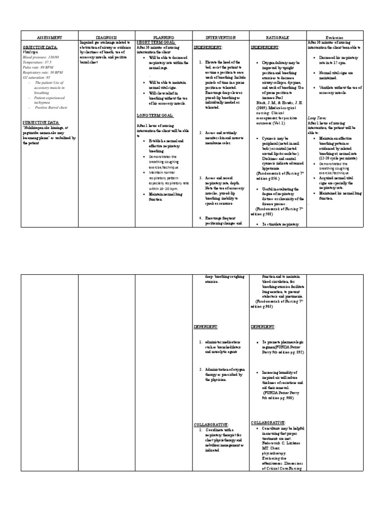 NCP Copd Final | PDF | Breathing | Respiratory System