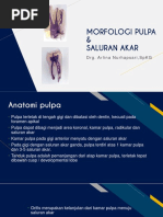 Interpretasi Hasil Rontgen Anatomi Normal | PDF