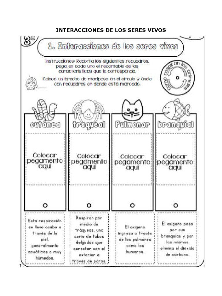 Interacciones de Los Seres Vivos | PDF