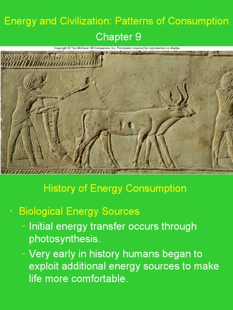 Energy and Civilization: Patterns of Consumption | PDF | Opec | Petroleum
