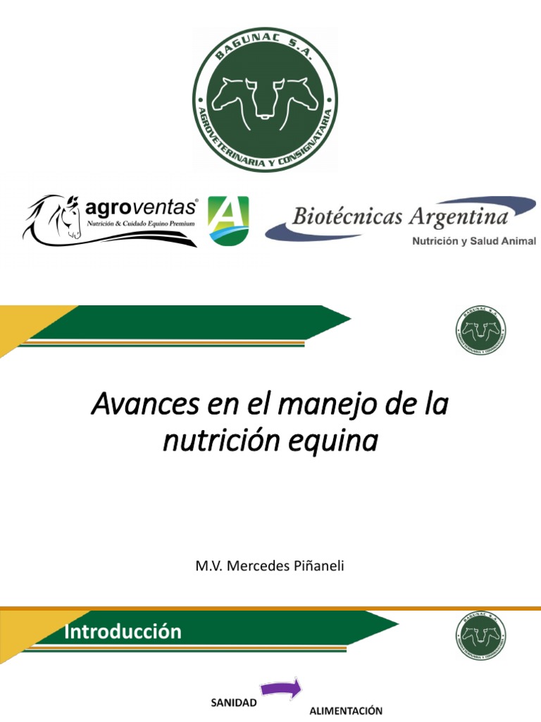 Alimentacion Equina | PDF | Digestión | Alimentos
