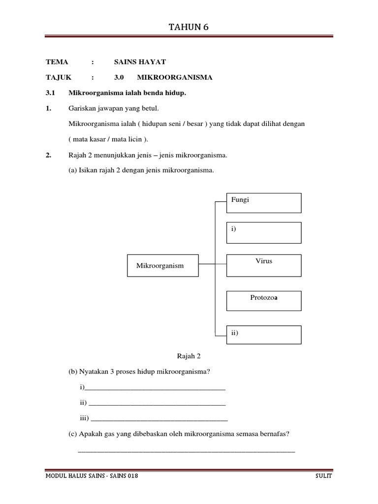 Modul Halus Sains | PDF