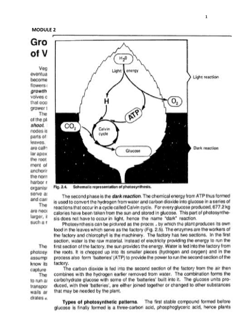 Module 2 Overview | PDF