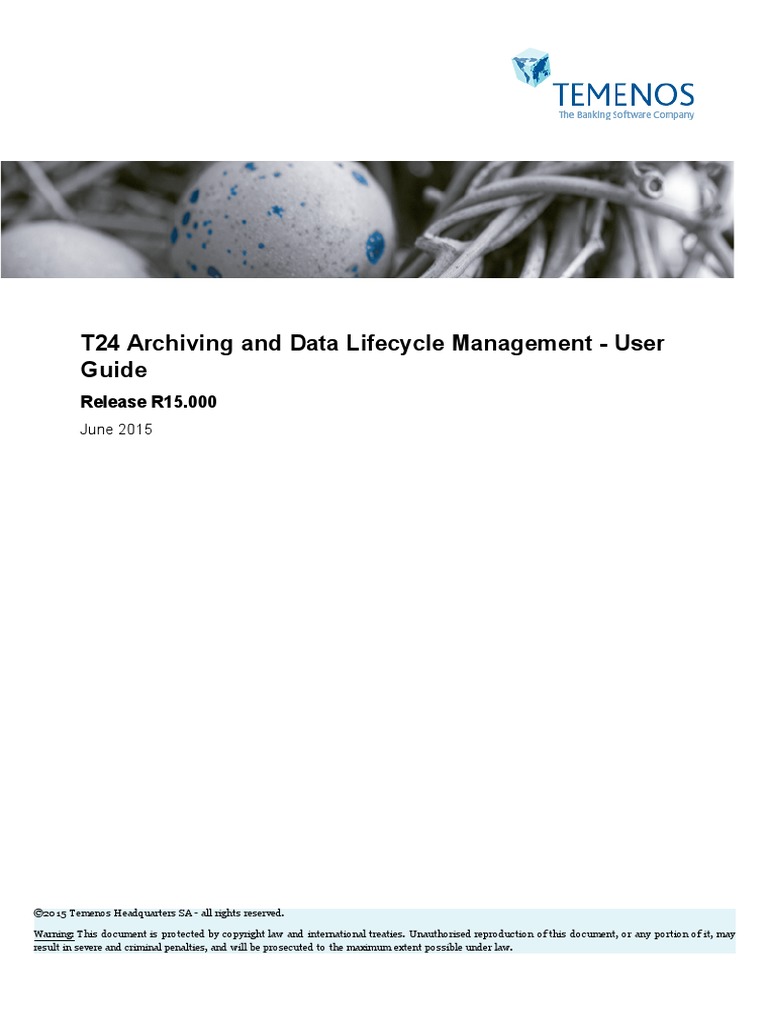 T24 Archiving and Data Lifecycle Management - User Guide: Release R15.000 | PDF | Databases ...