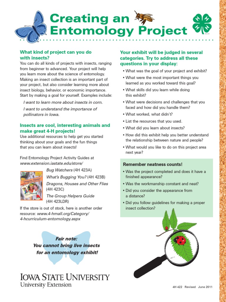 Creating An Entomology Project | PDF | Insects | United States ...