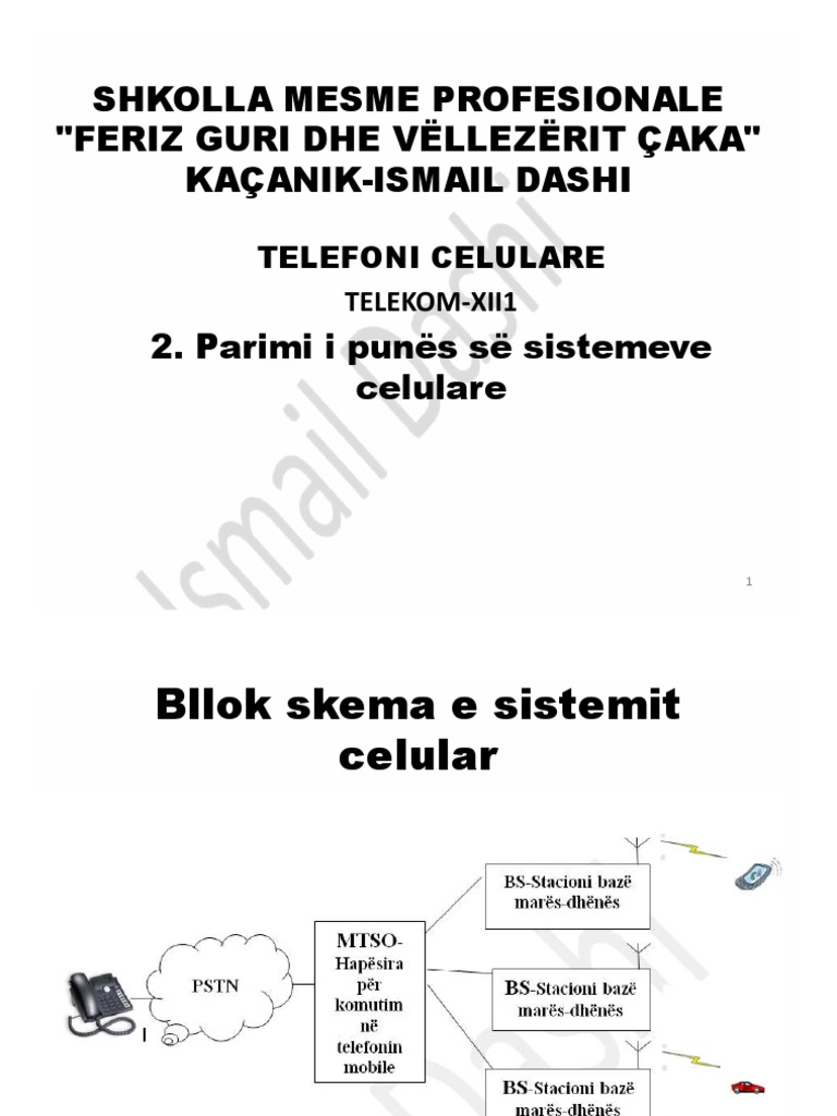 Parimi I Punës Së Sistemeve Celulare | PDF