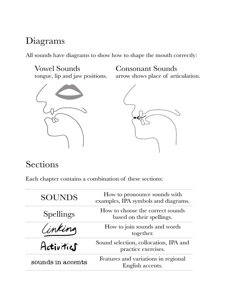 Phonetic Sounds: Mouth Anatomy For English Pronunciation, 40% OFF